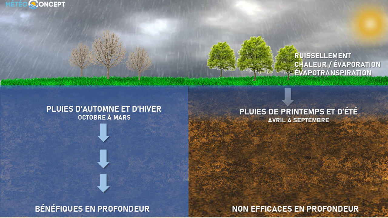 Le retour des pluies efficaces cette semaine ! - Actualités météo ...